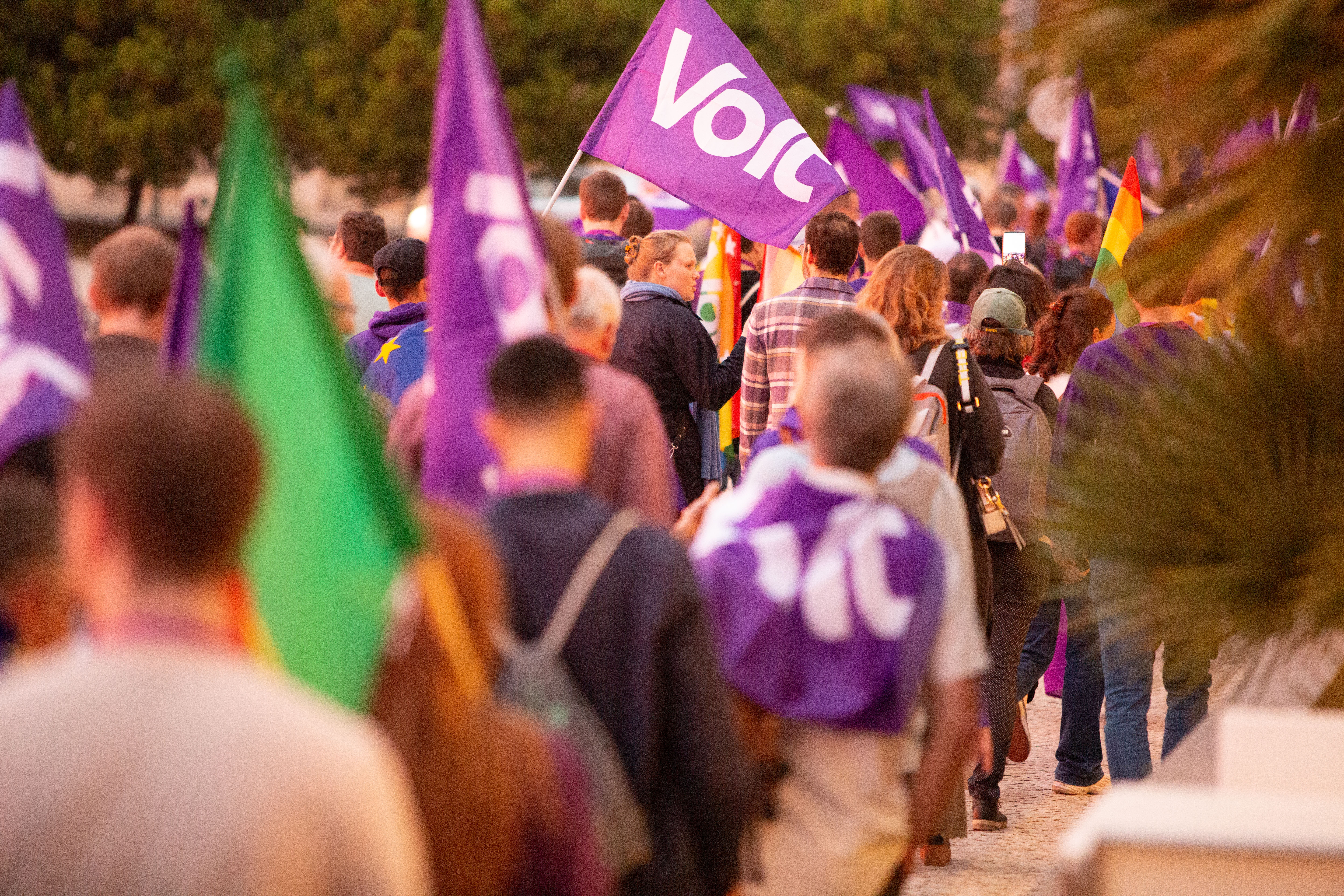 Pan-European Parties: What are they and what influences their domestic ...